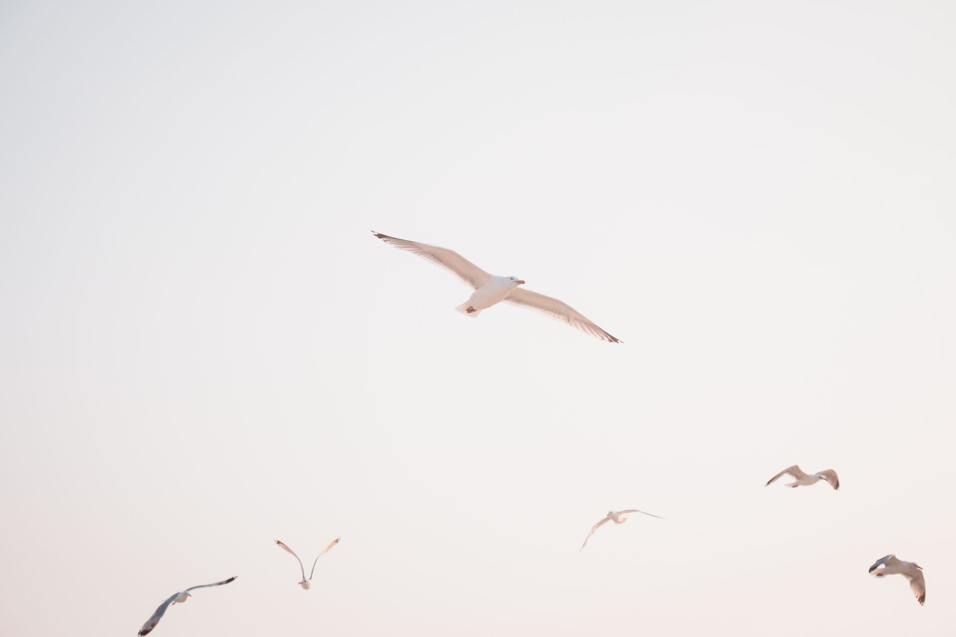 Understanding UI Kits